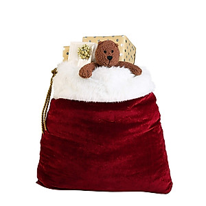 Fun Costumes Santa's Red Toy Sack Standard