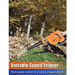 Blower Cordless，with 21V 4.0 Ah Lithium Battery Powered , 2 in 1 Sweeper & Vacuum for Clearing Dust,,Car Vacuum, Patio/Deck/Garden Cleaning, Garage Dusting