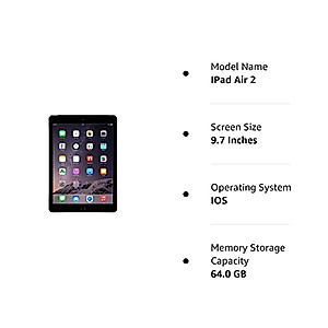Apple IPad Air 2 WI-FI 64GB Space Gray (Renewed)