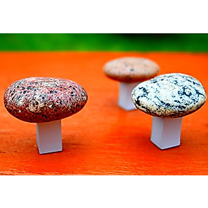 10 Pcs Kitchen Cabinet pull handles. Stone furniture. Sea Stone knobs and pulls.