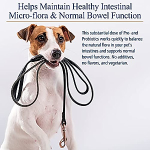 Rx Biotic for Pets 2.12 oz Powder - Professional Veterinary Formulas - Hypoallergenic & Vegetarian