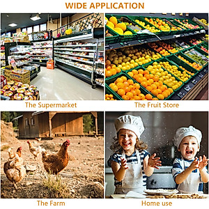 FVIEXE 36PCS Egg Cartons Cheap Bulk, Reusable Plastic Egg Carton, Each Holds 1 Dozen Chicken Eggs (12 Eggs), Clear Empty Chicken Egg Tray Egg Holder for Family Pasture Farm Market, Large Size