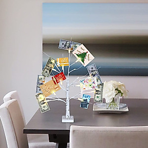 DECORKEY Money Tree Gift Holder, 24" 2FT Birch Tree with LED Lights, Battery Powered Timer Display Trees Stands with 12 Clear Clips Card, for Christmas, Birthday, Wedding, Photo, Graduation (White)