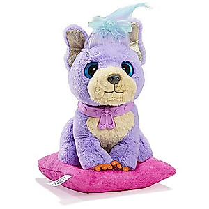 Little Live Pets | Scruff-a-Luvs Cutie Cuts! Shave, Reveal and Style, Plush Rescue Pet - Purple Puppy