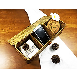 LA NINA 3-Section Rectangular Storage Basket with Lid, Tropical Style, Brown, Water Hyacinth