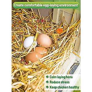 Chicken Nesting Herbs - 14 Oz Natural Nesting Box Herbs in 6 Dried Flower & Herbs for Keeping Coop Fresh and Create Comfortable Environment for Chickens