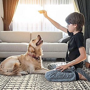 Nailttos 3x5 Rug for Living Room, Ultra Soft Non Slip Moroccan Washable Rug, Distressed Entry Rug Low-Pile Throw Rug Carpet Black Rug for Bedroom Kitchen Living Room Dinning Room