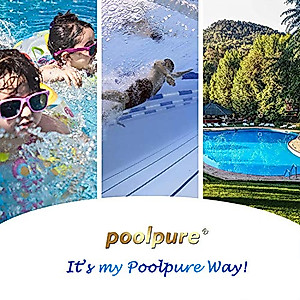 POOLPURE Replacement Filter for Sundance 6541-397, AK-6541397, UFC-397, Sundance Micro Clean Ultra Set, with Outer Filter # 6473-165 and Inner Filter 6473-164, 1 Pack