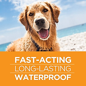 FirstAct Plus Flea Treatment for Dogs, Medium Dogs 23-44 lbs, 6 Doses, Same Active Ingredients as Frontline Plus Flea and Tick Prevention for Dogs