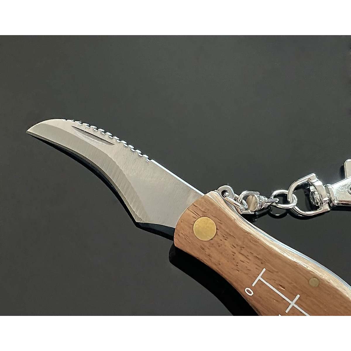 HANZIUP Folding Mushroom Knife Fungus Truffles Harvest Sharp Knives, Wood Handle with Bolster & Brush, Neoprene Pouch