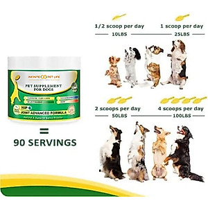 Advanced Hip and Joint Supplement for Dogs Large Breed - Glucosamine for Dogs Mobility & Pain Relief - Chondroitin, MSM & Turmeric | Bundle Pack(Chewable Tablets + Powder)
