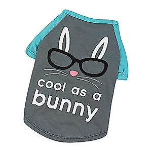 Cute Girl Puppy Clothes Dog Clothing Staple Fiber Jersey Vest Hoodie Fleece Puppy Sweater Shirt Doggie Soft Coat Apparel Puppy Costume for Small Dog