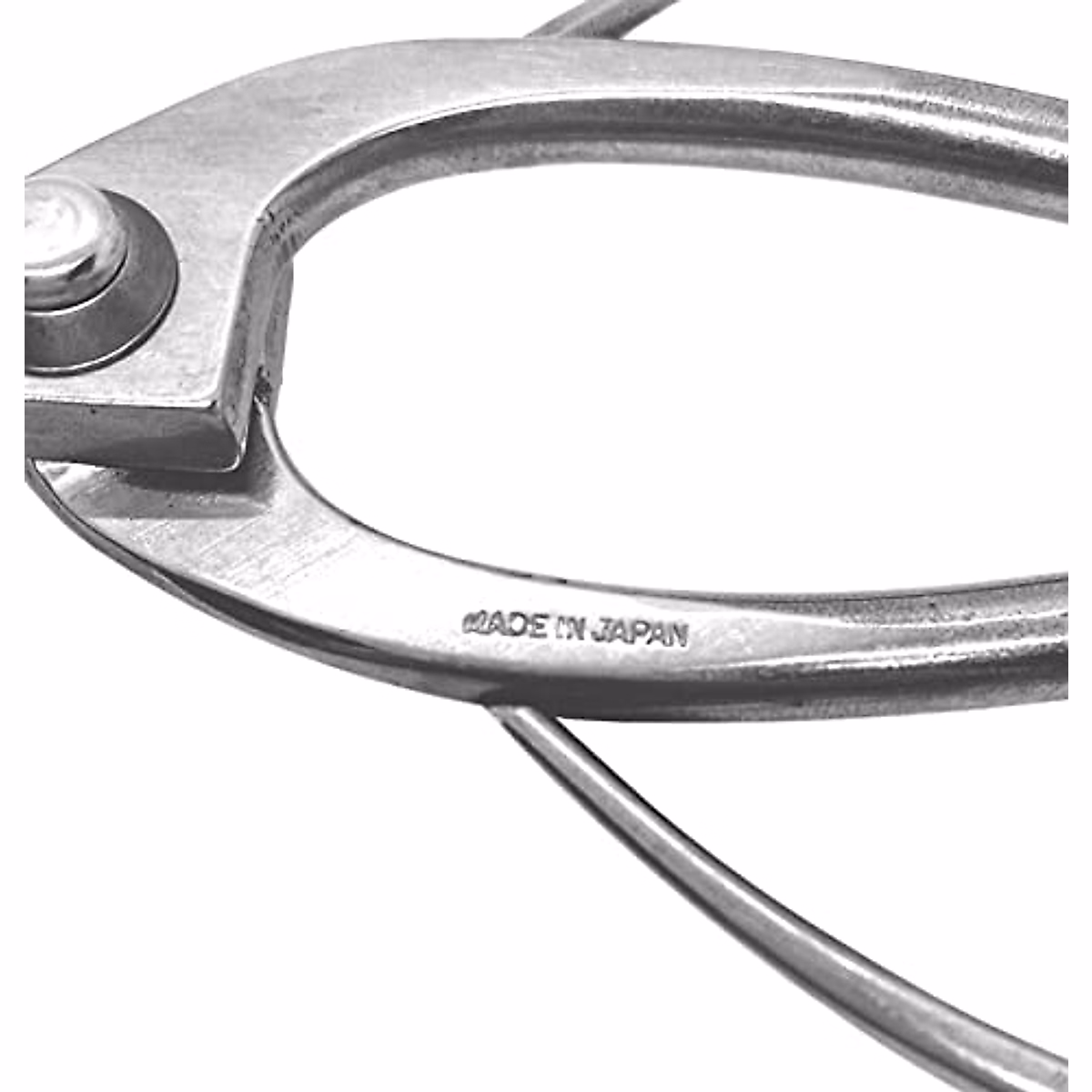 KAKURI Okubo Shears 7.8" (200 mm) Bonsai Scissors Long Blade, Flower Arranging Scissors, Japanese Stainless Steel, Silver, Made in JAPAN