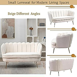 Anwickmak 59" Wide Modern Boucle Loveseat Small Sofa Small Mini Room Couch Two-Seater Sofa with Gold Metal Legs for Small Space Office Studio Apartment Bedroom (Ivory)
