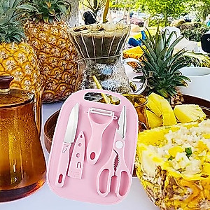 Mini Travel Cutting Board Set, 4 Pcs Portable Mini Camping Plastic Cutting Board & Knife, Fruits & Vegetable Peeler Scissors(Pink)