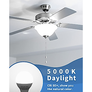 8 Pack E12 LED Ceiling Fan Light Bulbs 120V 60W Eqv., Daylight 5000K, A15 Candebalra Light Bulbs Small Base, Bright LED Bulb Round, Not Dimmable