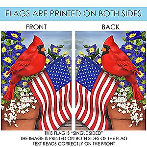 Toland Home Garden 1112538 American Cardinal Patriotic Flag 12x18 Inch Double Sided Patriotic Garden Flag for Outdoor House Bird Flag Yard Decoration