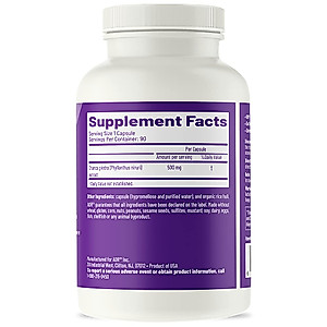 AOR, Chanca Piedra, Herbal Supplement for Kidney, Liver and Gallbladder Health, 500 mg, Vegan, 90 Capsules (90 Servings)