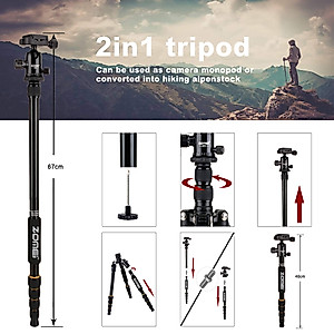 ZOMEI Aluminum Portable Tripod with Ball Head Heavy Duty Lightweight Professional Compact Travel for Nikon Canon Sony All DSLR and Digital Camera