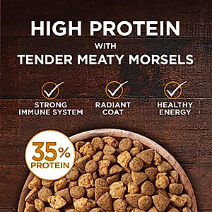 Purina ONE Natural, High Protein, Grain Free Dry Cat Food, True Instinct With Real Chicken - 14.4 lb. Bag