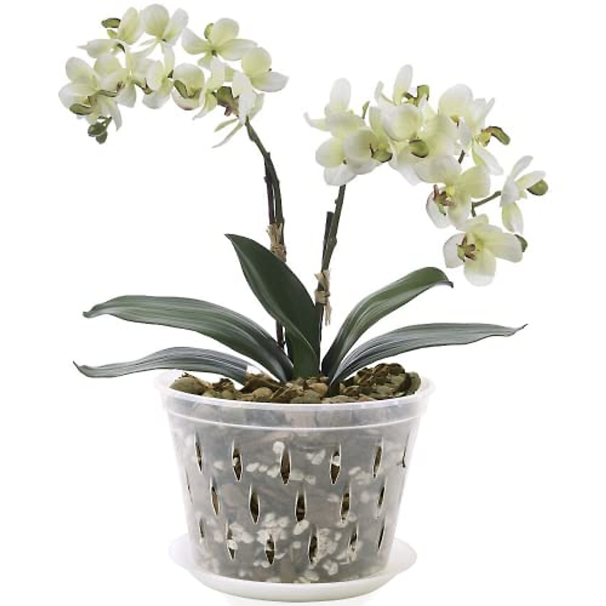 lanccona Orchid Pot, 8 Inch 4 Pack Orchid Pots with Holes and Saucers, Clear Plastic Orchid Pots