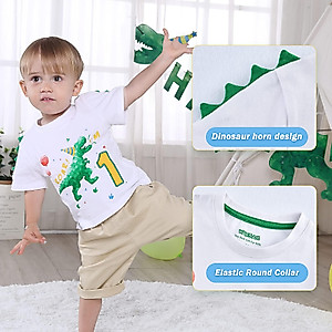 1st Birthday Boy Shirt Dinosaur Birthday T-Shirt 1 Year Old Toddler Dinosaur Outfit Cotton White Dino Party Shirt Roar I’m 1 Short Sleeve Top Tee Toddler One Rex T Shirt for Kids