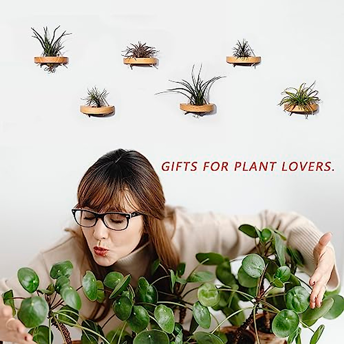 MITIME air plant holder, small air plant display stand. Wall mount to save space, wall decoration. (Plants not included) (Set of 6)