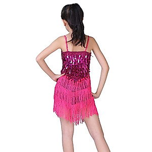 Latin Dance Dress Tassel Salsa Dancewear Sequin Fringe Dress Modern Ballroom Cha Cha Dancer Outfits for Girls (US, Age, 8 Years, 9 Years, Rose)