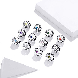 Pisces Constellation Charm 925 Sterling Silver Birthstone Charm Anniversary Charm Love Charm Lucky Charm for Pandora Charm Bracelet (Pisces (2.19-3.20))