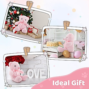 Tezituor 2 Pack Pink and Blue Teddy Bear, Small Teddy Bear Stuffed Animal Plush for Christmas Valentines Day Baby Shower Birthday, Cute Pink Blue Bear Stuffed Animal for Girl Boy