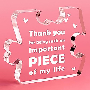 Appreciation Gifts for Women Men Thank You Teacher Gifts Gratitude Gifts for Friends Retirement Gifts for Coworker Mom Dad Wife Aunt Bestie Sister Grandma Leader Mentor Acrylic Plaque Home Desk Decor