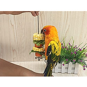 Pet Bird Food Fork Stainless Steel Hanging Bird Treat Feeders Bird Treat Skewer Parrot Foraging Toy for Parrots Cockatoo Cockatiel