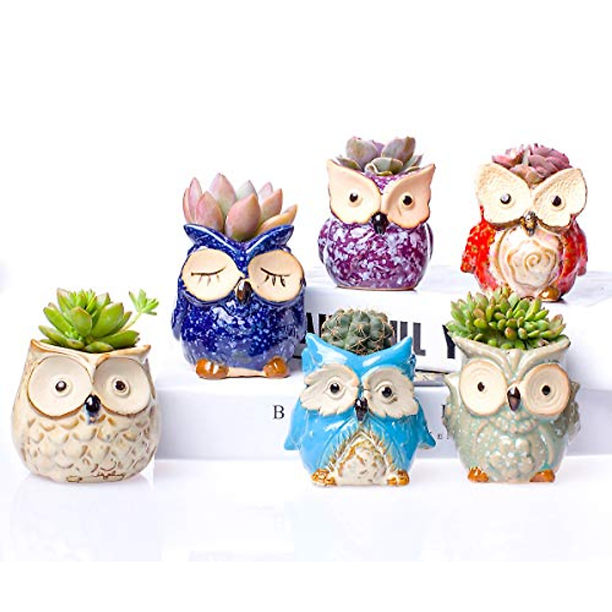 Claywa Ceramic Owl Succulent Pots Cute Animal Plant Planters 2.75" to 3.35" with Drainage Pack of 6 Plants Not Included
