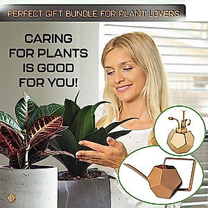 Copper Watering Can with Long Spout + Brass Plant Mister Sprayer for Houseplants Succulents Airplants