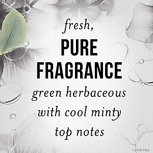 Pantene Nutrient Blends Deep Detox & Renew Clarifying Silicone Free Charcoal Conditioner, 8 Fl Oz