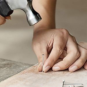 Mr. Pen- Nail Assortment Kit, 600pc, Small Nails, Nails, Nails for Hanging Pictures, Picture Hanging Nails, Finishing Nails, Hanging Nails, Picture Nails, Wall Nails for Hanging, Pin Nails