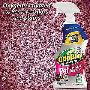 OdoBan Pet Solutions Oxy Stain Remover, 32 Ounce Spray, Neutral pH Floor Cleaner Concentrate, 1 Gallon, and 120 Dog Waste Pickup Bags