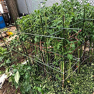 MTB Metal Garden Stakes 71 Inches, Steel Plant Stakes, Pack of 25, with Universal Buckles for DIY