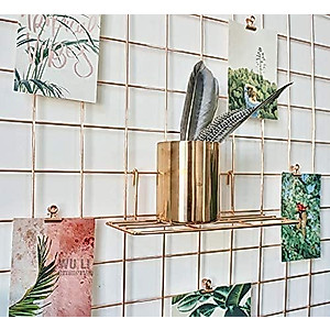 BULYZER Grid Wall Shelves Basket with Hooks,Bookshelf,Display Shelf for Wall Grid Panel,Wall Mount Organizer and Storage Shelf Rack for Office (Rose Gold)