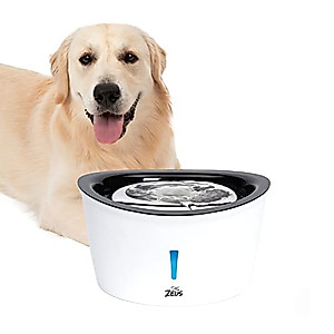 Zeus Cascade Dog Drinking Fountain with Stainless Steel Top