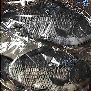 Interesting New Fish Shaped Pencil Case, 2024 Waterproof Stationery Pouch, Soft Stain-Resistant Quirky Zippered Fish Coin purse Storage bag, Lifelike Fish Pencil Pouch School Office Supplies (E)