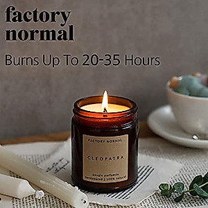 Cafe Au Lait Coffee Scented Soy Candles, Factory Normal Handmade Amber Jar Candle, 8oz, 20-35 Hour Burn Time