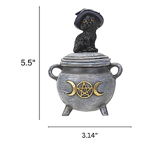 Pacific Giftware Black Cat with Witch Hat Sitting on Cauldron Box, Polyresin Jewelry or Coin Holder, 3.93 Inches x 3.14 Inches x 5.5 Inches
