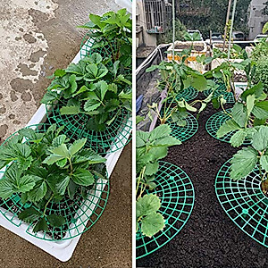 ANGTUO 10 Pack Strawberry Supports for Garden Strawberry Plant Support Strawberry Stand Holder Strawberry Racks Growing Frame