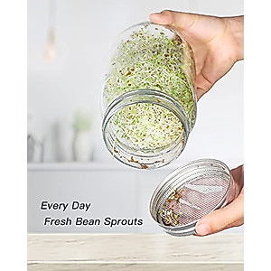 RAYPLE Sprouting Jar Kit, 2 Wide Mouth Mason Jars, Premium Stainless Steel Screen Sprout Lids, Blackout Sleeves, Tray, Stand, Sprouting Kit for Growing Broccoli,Alfalfa,Mung Bean