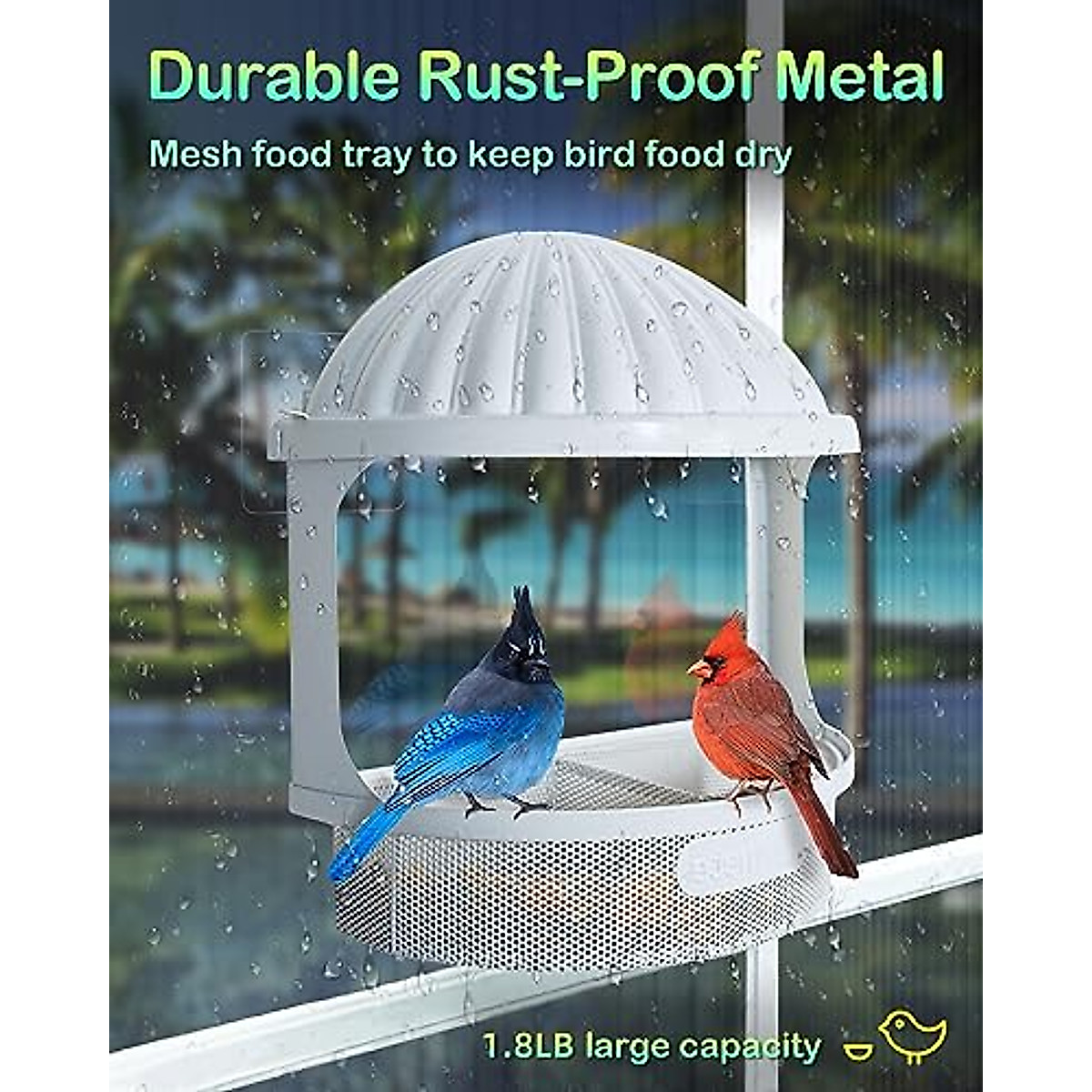 Ermete Durable Metal Bird Window Feeder with Seed Tray and Strong Suction Cups - Window Bird Watching Gift, White