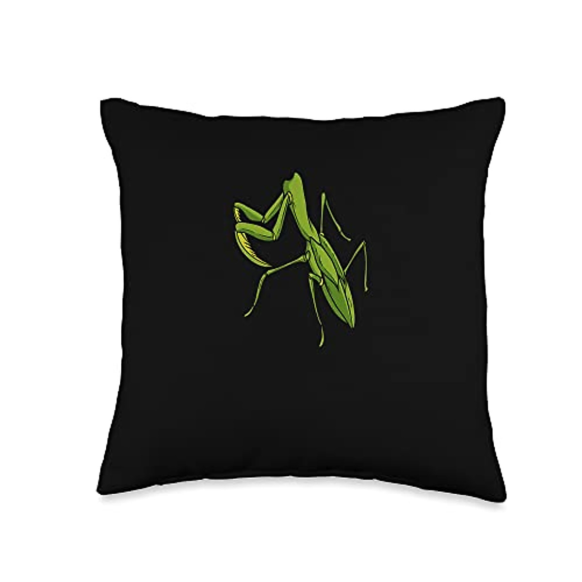 Praying Mantis Gifts & Accessories Insect Predator-Entomology Headless Praying Mantis Throw Pillow, 16x16, Multicolor