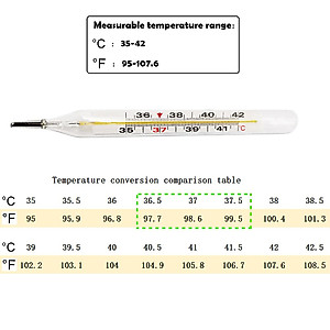 Healifty 2Pcs Mercury General Use Temperature Testing Tools
