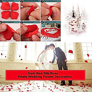 LZXD 1000 Pieces Black Artificial Silk Rose Petals Flower Decoration Wedding Party Color Black