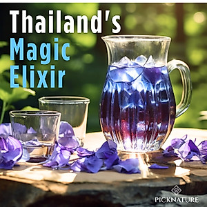 PICKNATURE Butterfly Pea Flower Tea Loose Leaf Freshly Picked from Thailand | Mini Pack (100+ Cups) | Herbal Blue Tea Gifts |USDA Organic